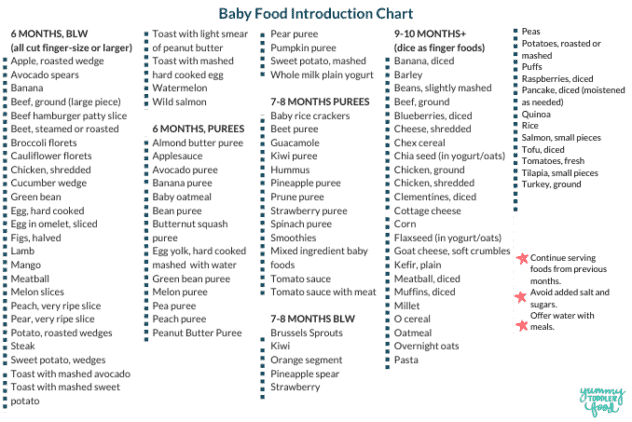 Printable Baby Food Chart: BLW, Purees, Finger Foods