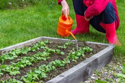 Kids Gardening Ideas: Best Plants, Set Up, and More - Yummy Toddler Food