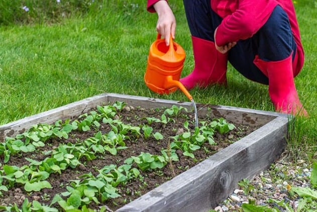 Kids Gardening Ideas: Best Plants, Set Up, and More - Yummy Toddler Food
