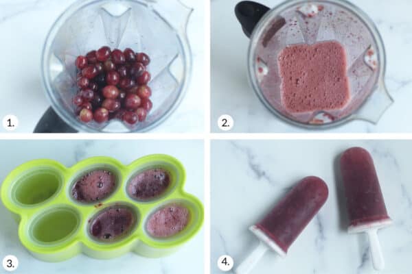 Easy Grape Pops (with Fresh Fruit!) - Yummy Toddler Food