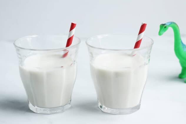 Best Flavored Milks (Easy and Low Sugar!)