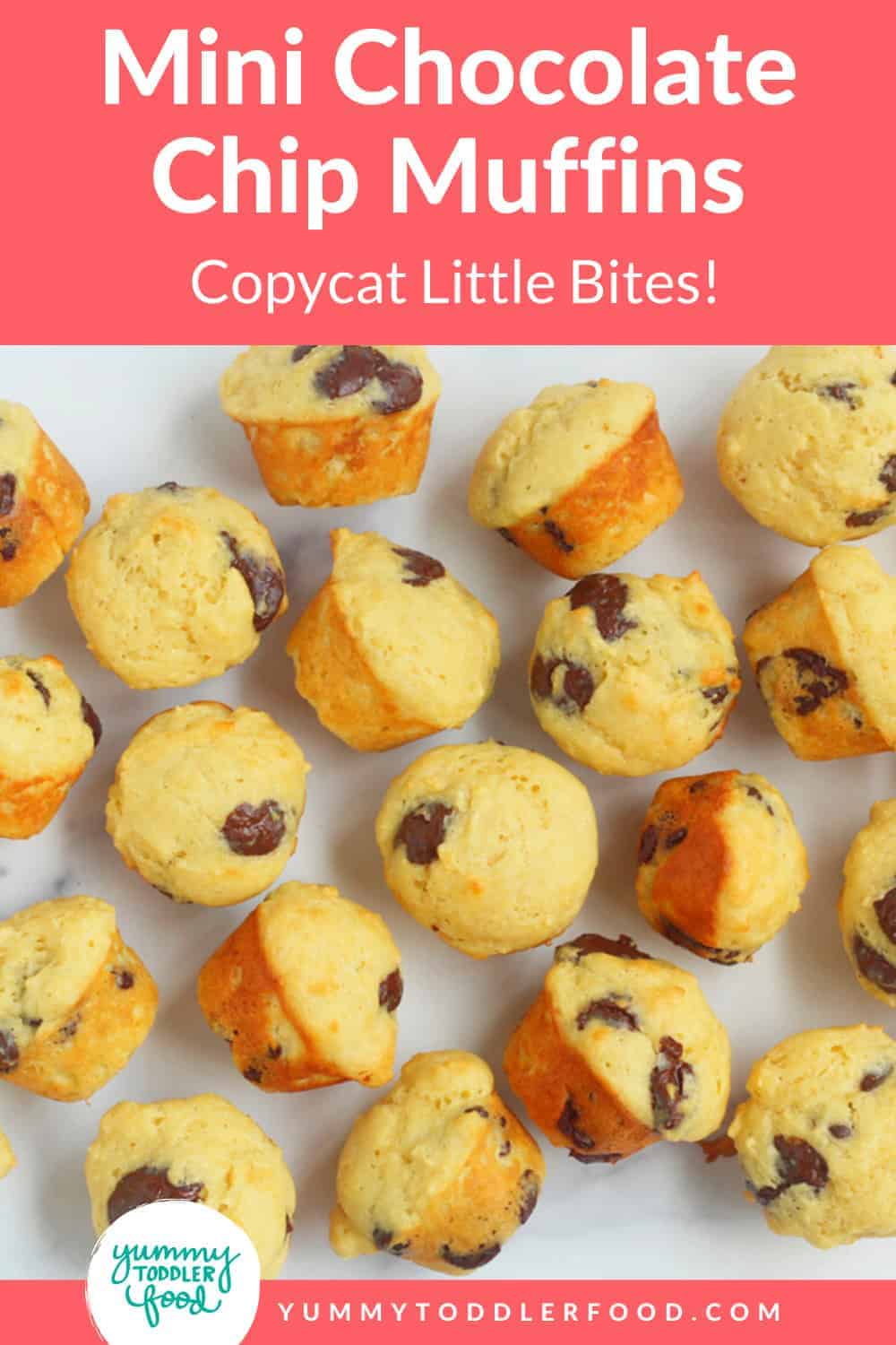 Chocolate Chip Mini Muffins (Copycat Little Bites)