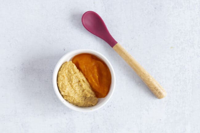 Favorite Chicken Puree - Yummy Toddler Food