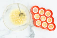 Easy Pear Popsicles - Yummy Toddler Food